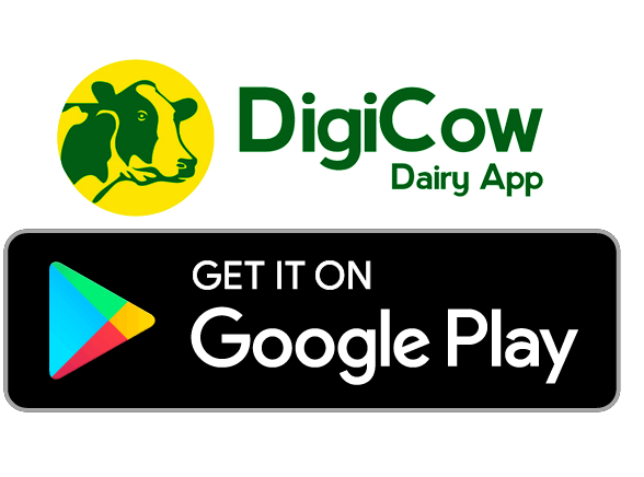 Digicow Africa LTD – Mobile phone technologies for the agricultural sector