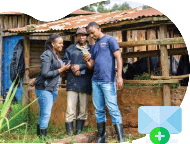 Digicow Africa LTD – Mobile phone technologies for the agricultural sector