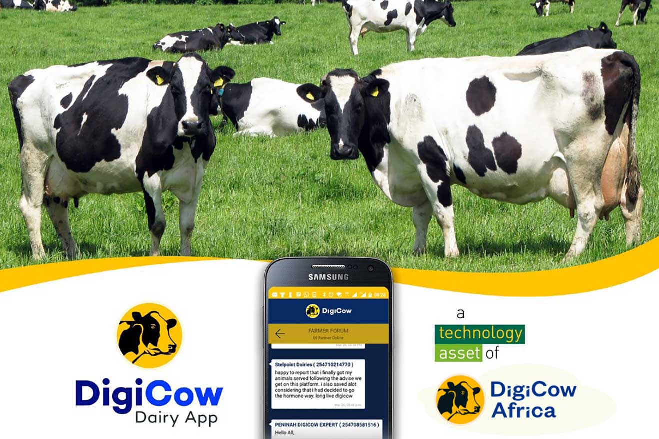 Digicow Africa LTD – Mobile phone technologies for the agricultural sector